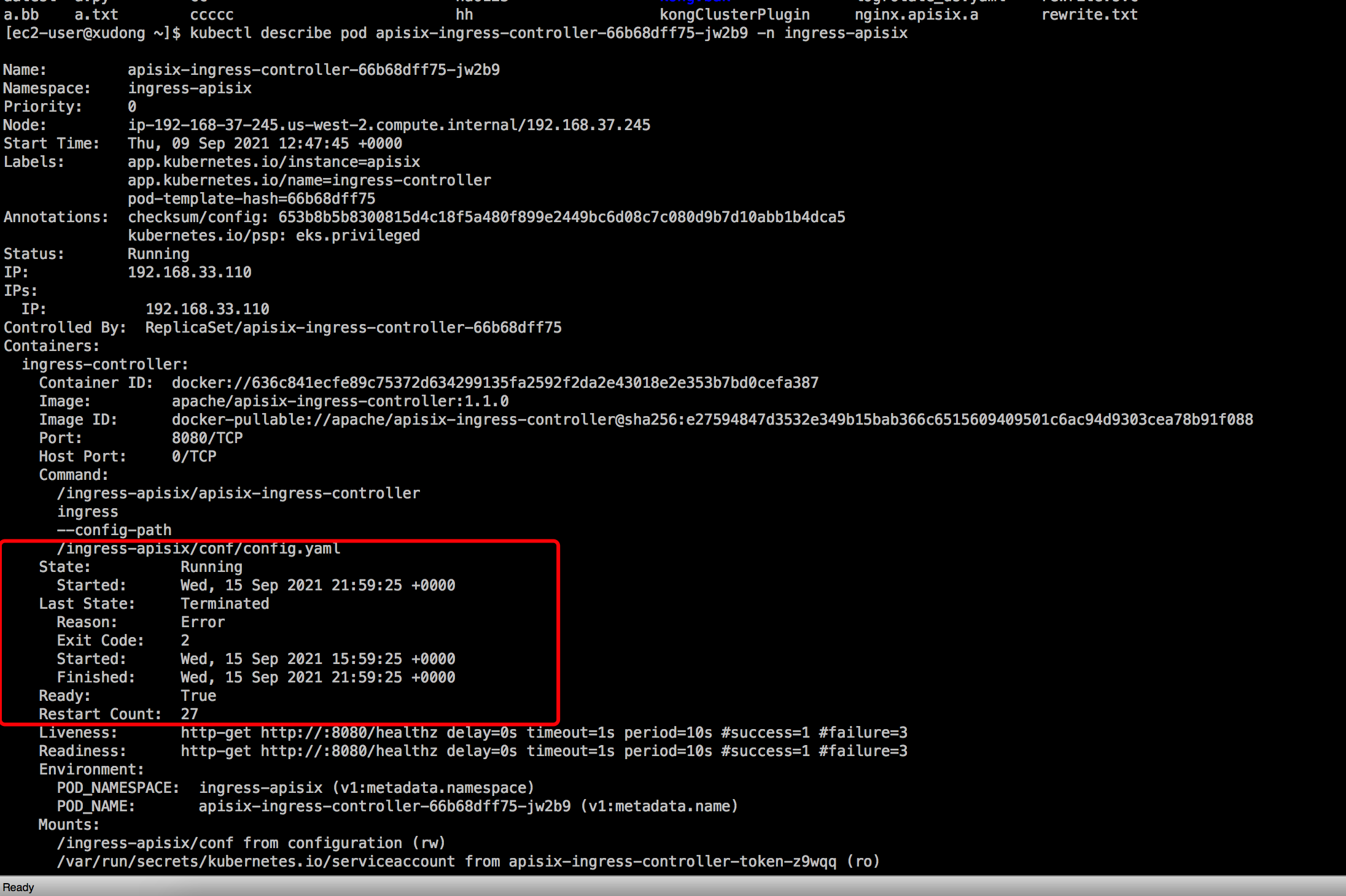 bug: 2 apisix-ingress-controller,one is normal and another always is starting · Issue #668 ...