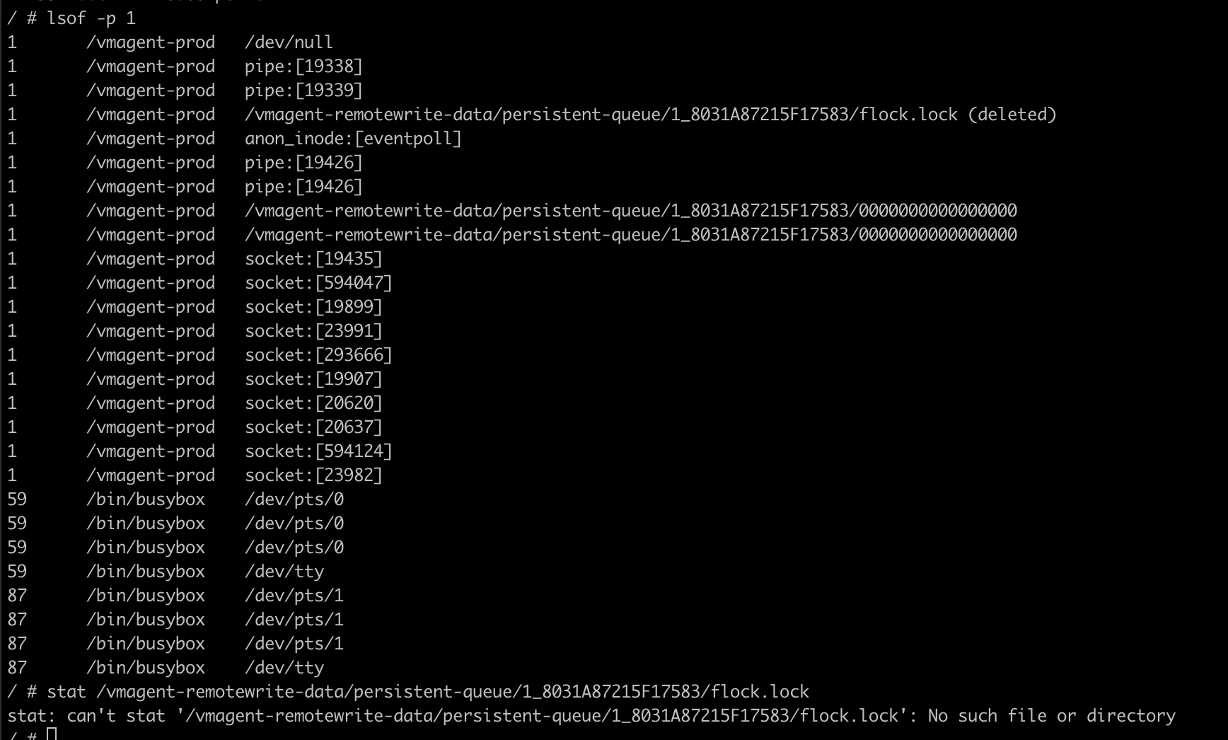 VMAgent: flock file was opened by process but not existed on file system · Issue #5249 ...