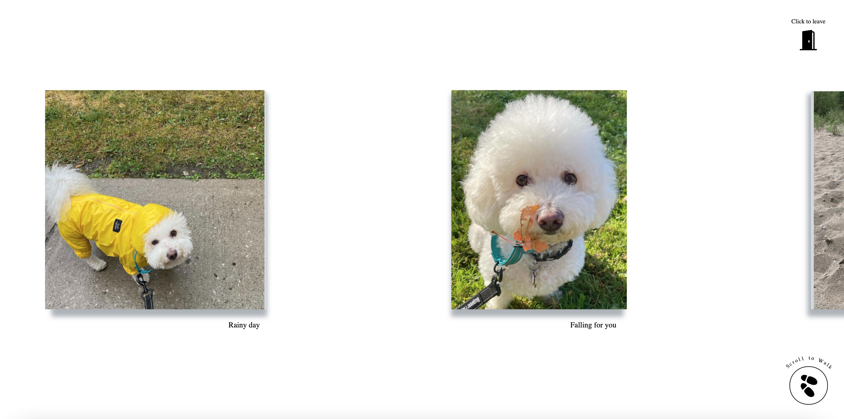 GitHub - SSW-22/online-photo-gallery