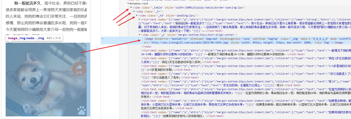 table嵌套的富文本中，image标签max-width显示无效 · Issue #362 · jin-yufeng/mp-html · GitHub