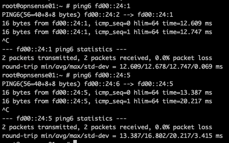 Routed IPSec IPv6 interfaces always /128 netmask · Issue #4700 · opnsense/core · GitHub