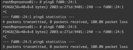 Routed IPSec IPv6 interfaces always /128 netmask · Issue #4700 · opnsense/core · GitHub