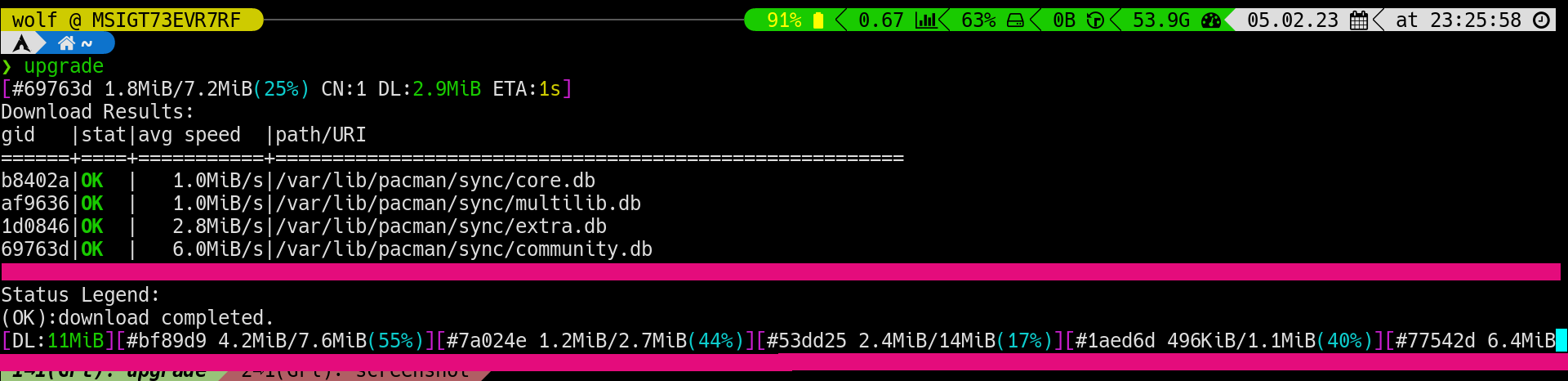 Custom format for output when it is downloading · Issue #2024 · aria2 ...