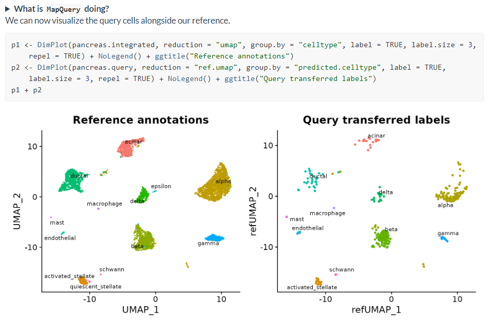 Cross-species UMAP scatter plots · Issue #122 · atarashansky/SAMap · GitHub