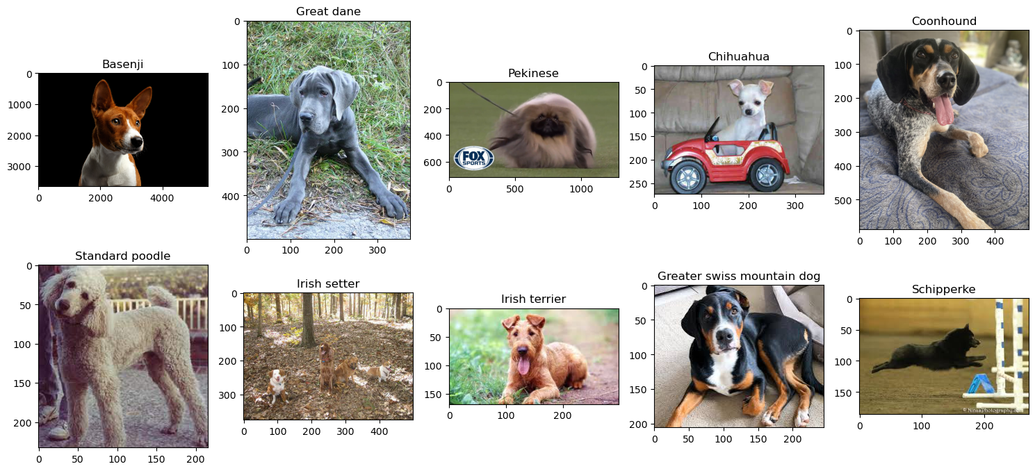 GitHub - pmajews/dog_breed_recognition