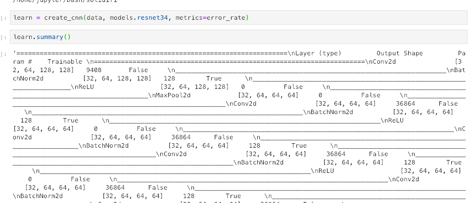 learn.summary() - unreadable output · Issue #1479 · fastai/fastai · GitHub