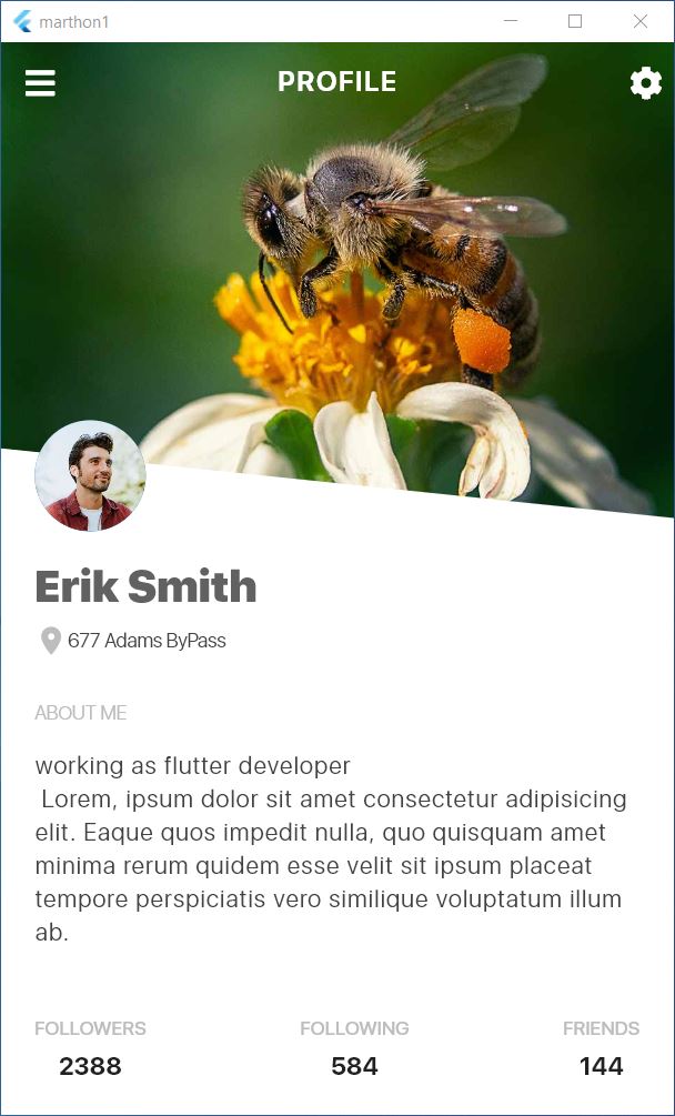 GitHub - muhamed-hasan/Flutter_UI_Demos: Ui Design demos with flutter