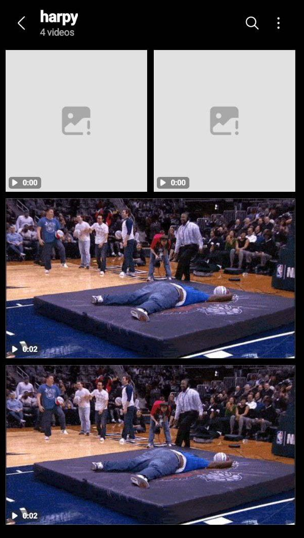 GIFs downloaded in an unsupported format · Issue #645 · robertodoering/harpy · GitHub