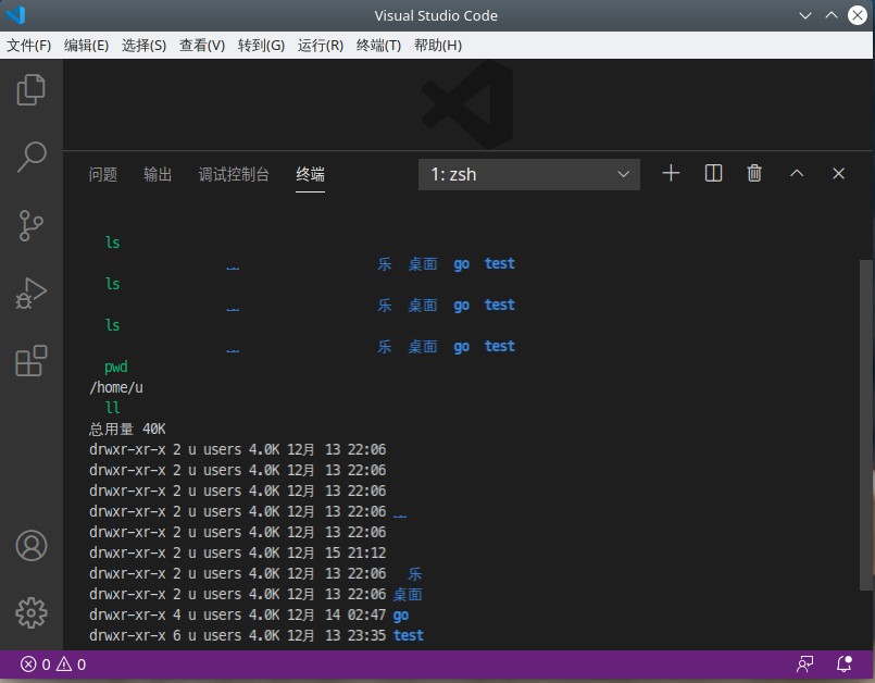 The text output of the integrated terminal is incomplete!!! · Issue ...