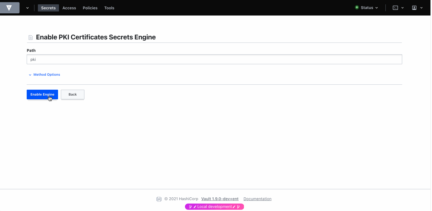 Writing a cert to pki returns a 204 and no cert is added · Issue #12583 · hashicorp/vault · GitHub