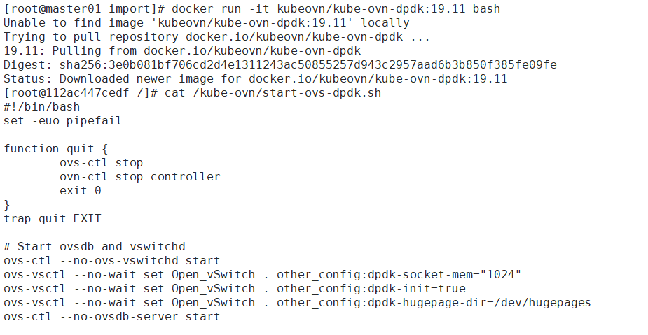 dpdk commands can not run inside kube-ovn container · Issue #406 · kubeovn/kube-ovn · GitHub