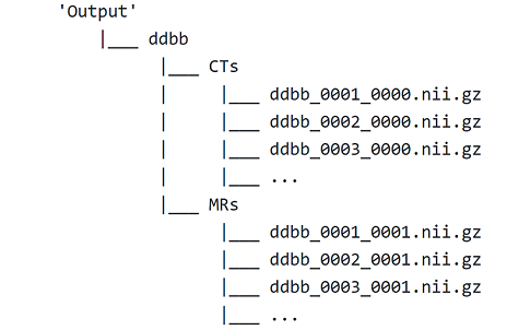 GitHub - BSEL-UC3M/DLUS: GitHub repository for DLUS: Deep Learning-based Segmentation of ...