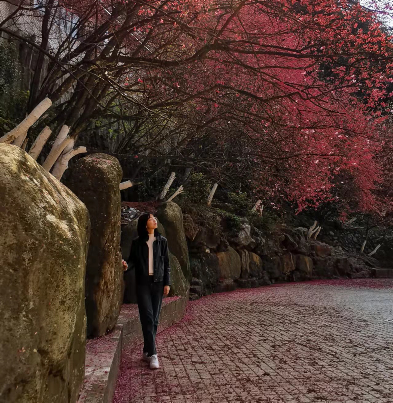 gtb-2022-wu-bingying · GitHub