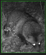 GitHub - PythonUser-Shunya/trimming: 切り抜き