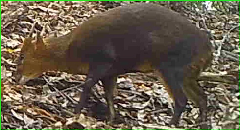 GitHub - PythonUser-Shunya/trimming: 切り抜き