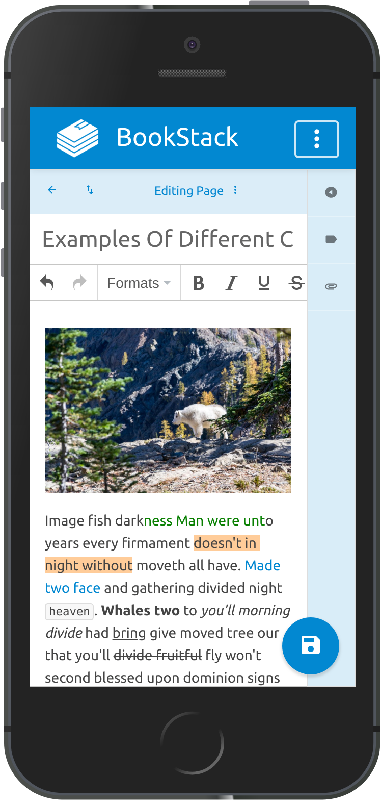 Iphone The Save Button Disappears While Editing A Page · Issue 1456 · Bookstackapp