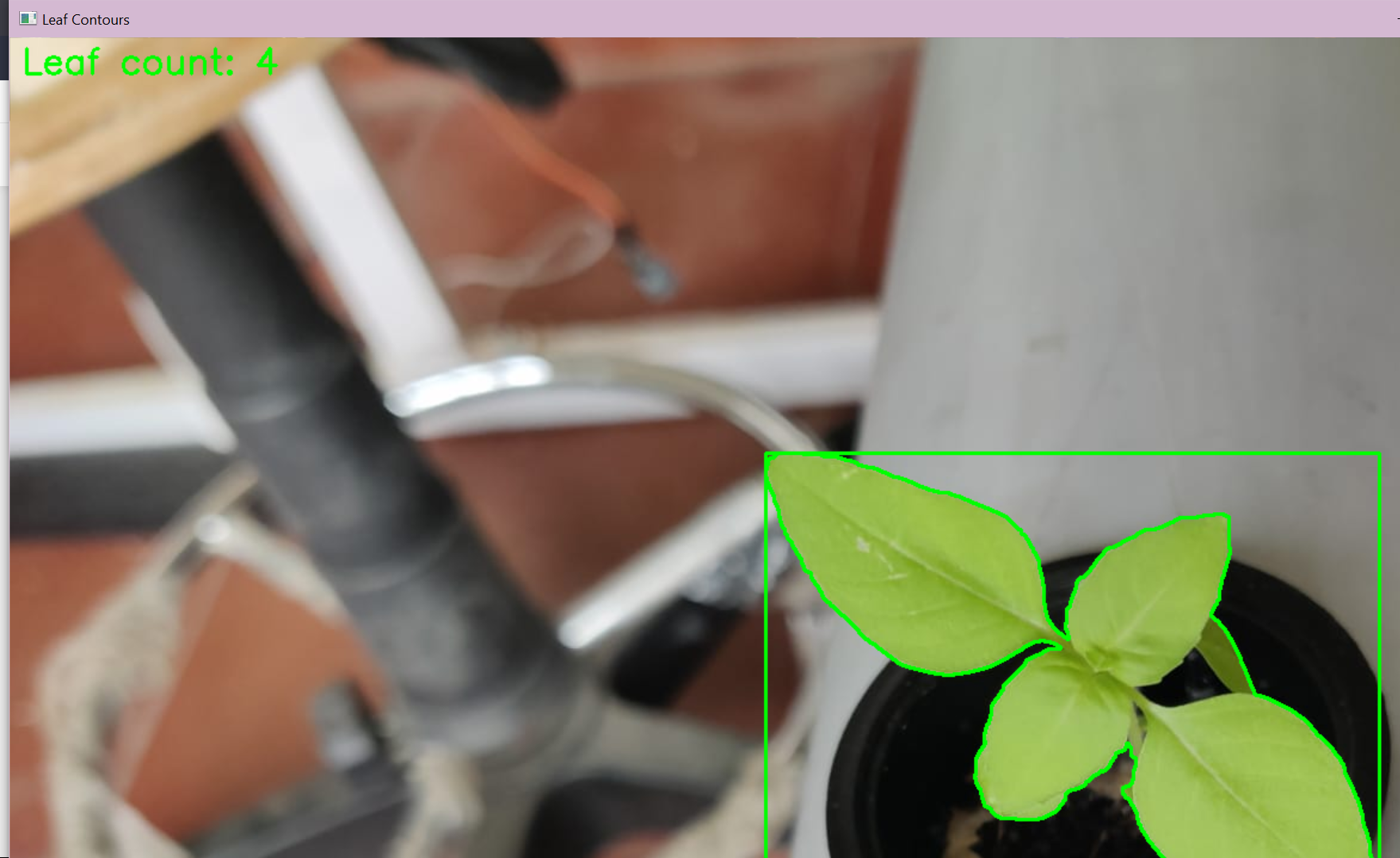 GitHub - Sanchi009/AI-Powered-Hydroponics