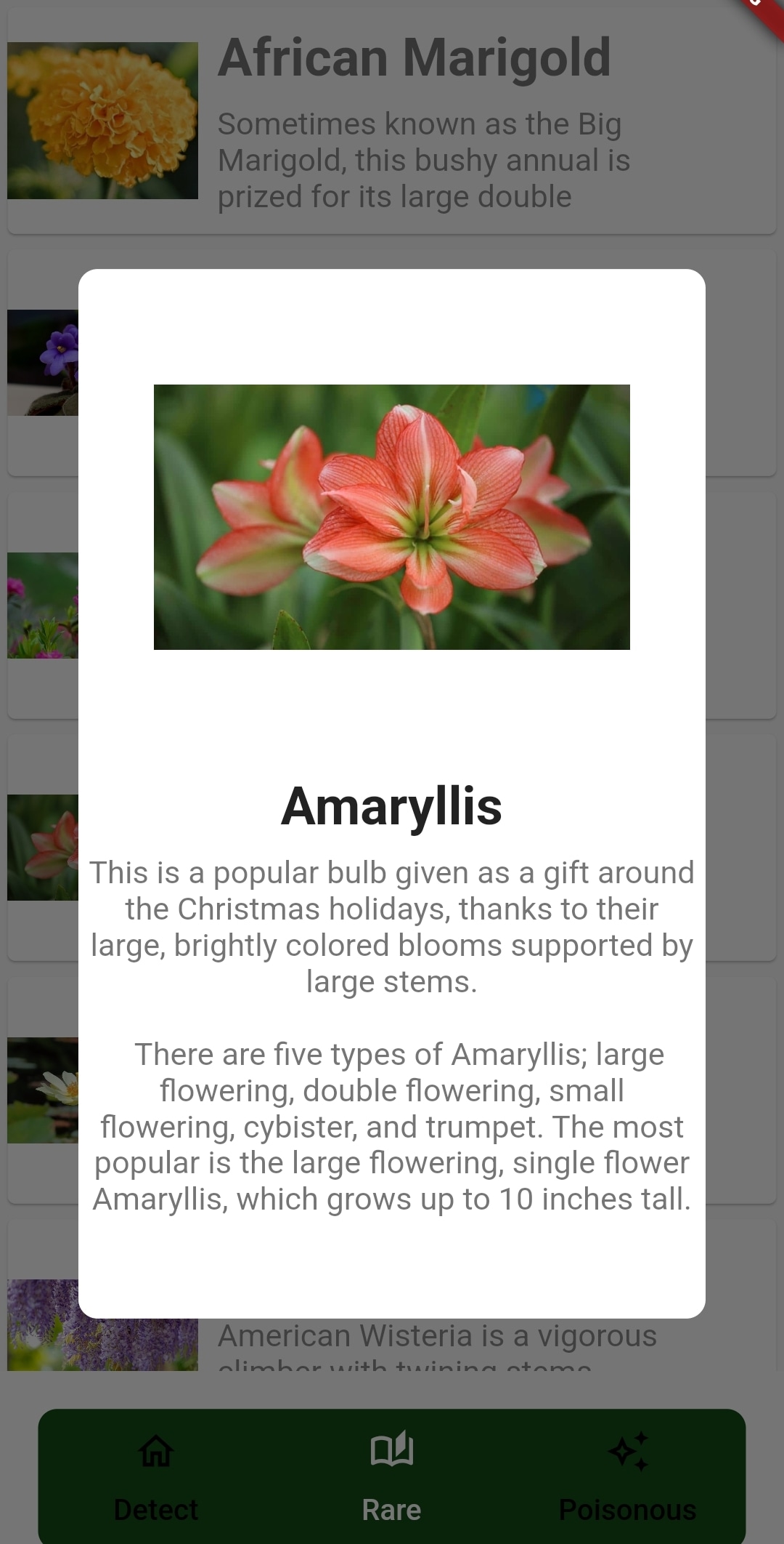 GitHub - shahd1995913/app