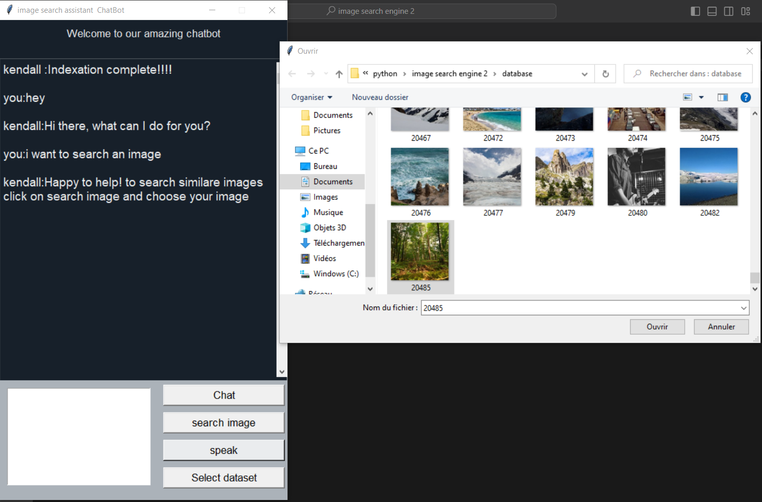 GitHub - chaimaaAZ/CBIR-chatbot: A ChatBot capable of taking audio or ...