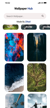 GitHub - mdzihad89/Wallpaper-App: This is a wallpaper app made with flutter.