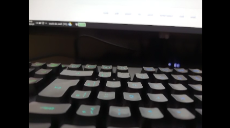 replaceView while streaming in background · Issue #1011 · pedroSG94/RootEncoder · GitHub