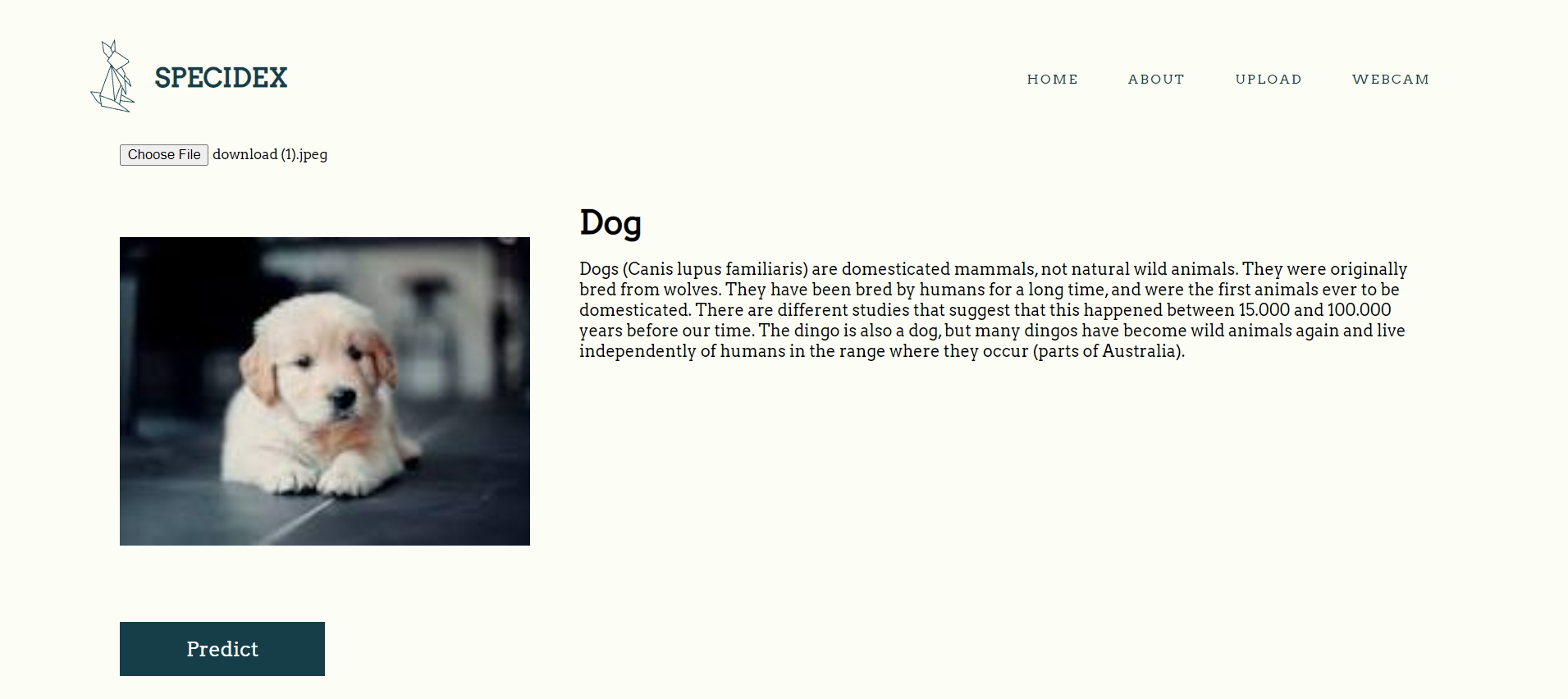 GitHub - samwilson0745/SPECIDEX: A website where you can detect animals real-time and also by ...