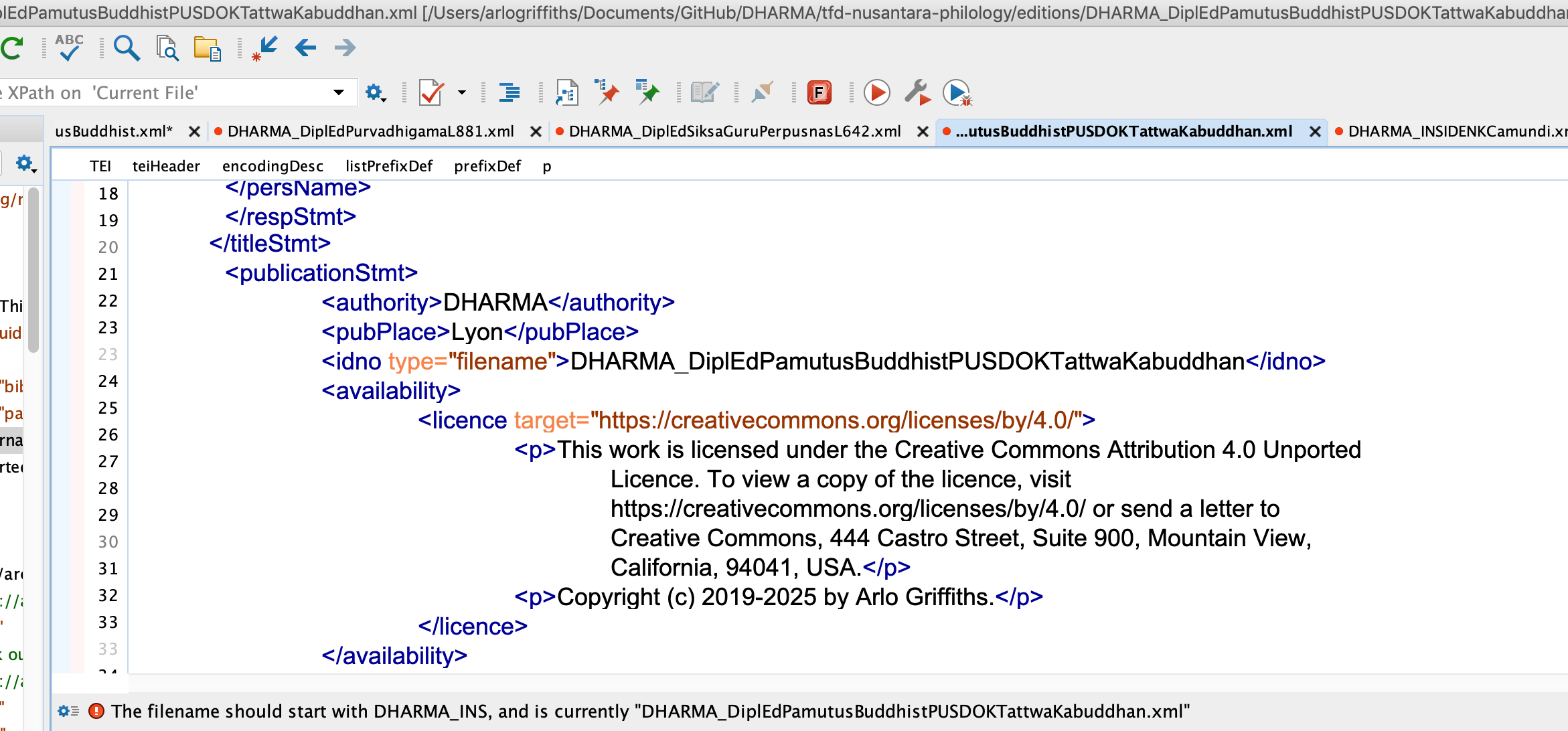 allow file names with prefix DHARMA_DiplEd or create separate template for dipl. editions ...