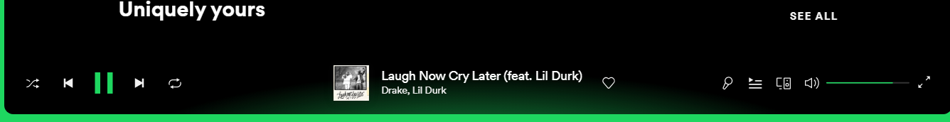 Lyrics-Plus continues to not work · Issue #1062 · spicetify/cli · GitHub