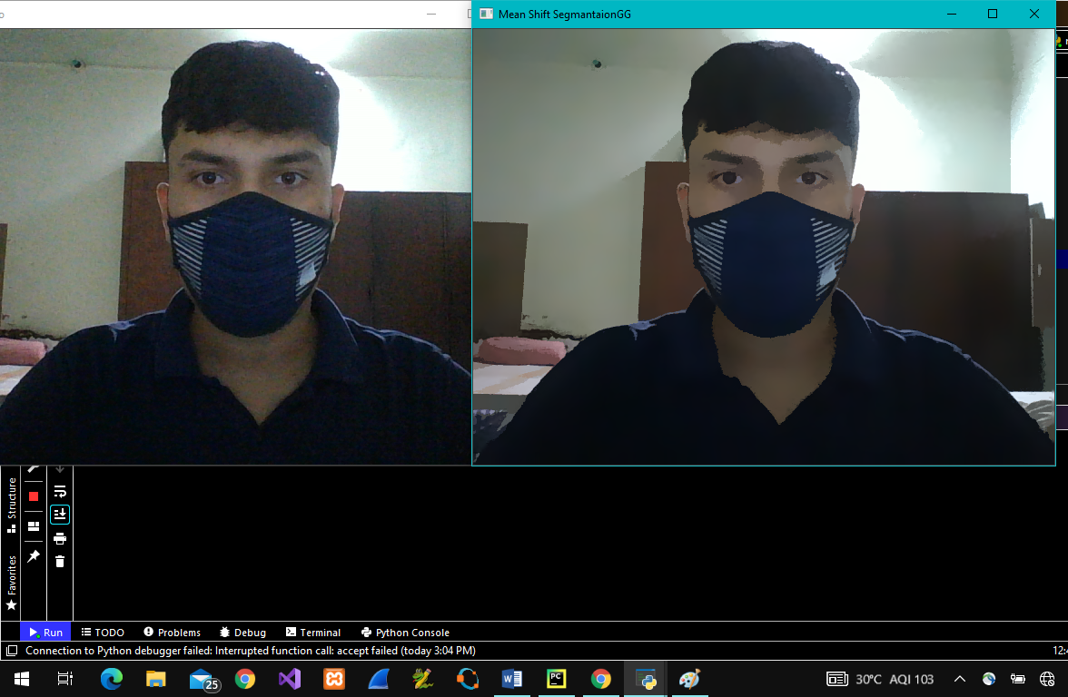 GitHub - Shlok-crypto/Meanshift-Segmentation: Image/video multi segmentation, using meanshift ...