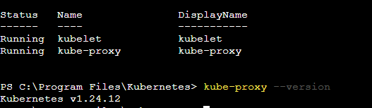 Windows Kubernetes Kube Proxy Panics Exits · Issue 116389 · Kubernetes Kubernetes · Github