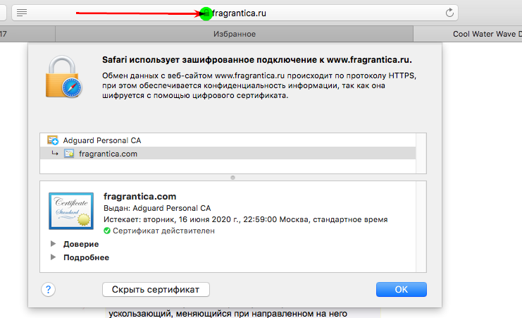 fragrantica.ru · Issue #15342 · AdguardTeam/AdguardFilters · GitHub