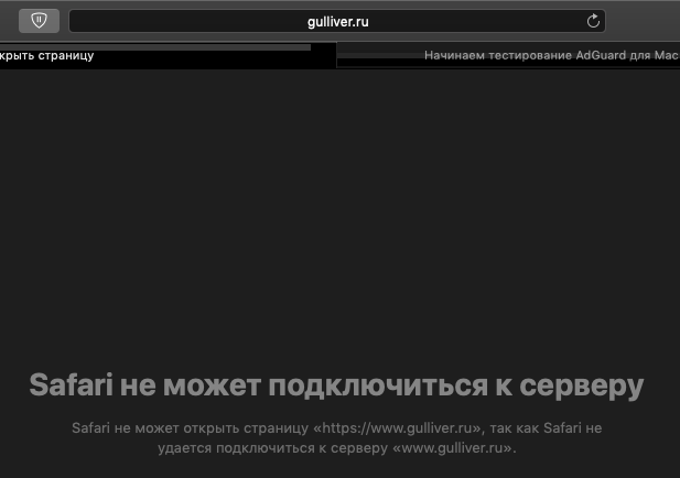 www.gulliver.ru is not working · Issue #825 · AdguardTeam/CoreLibs · GitHub