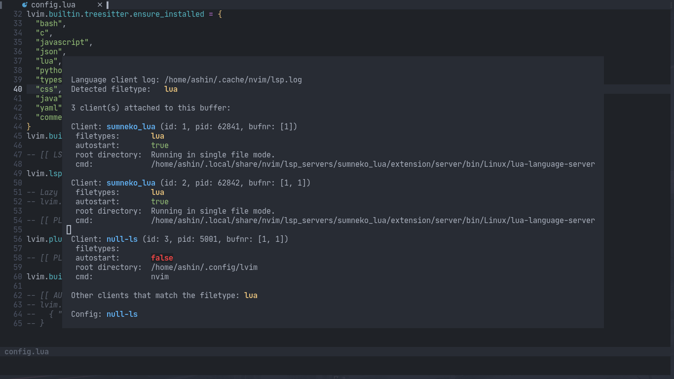 [Bug]: Multiple LSP servers spawned · Issue #2012 · LunarVim/LunarVim · GitHub
