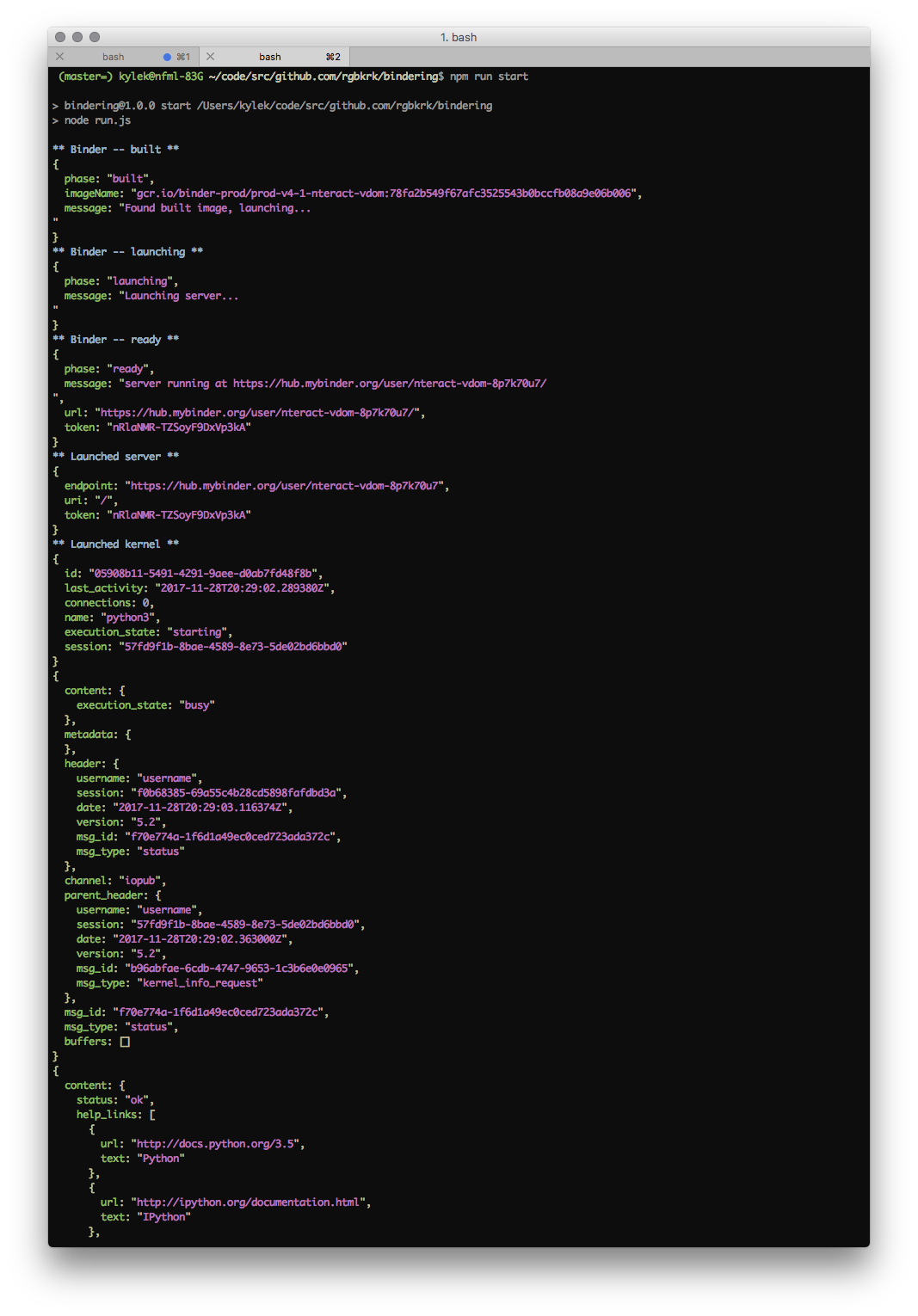 GitHub - rgbkrk/bindering: messing with rx-jupyter + rx-binder