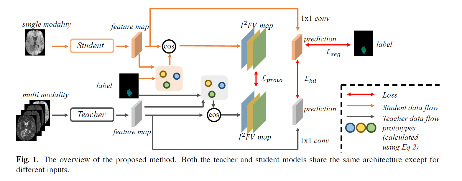 GitHub - SakurajimaMaiii/ProtoKD: Prototype Knowledge Distillation for Medical Segmentation with ...