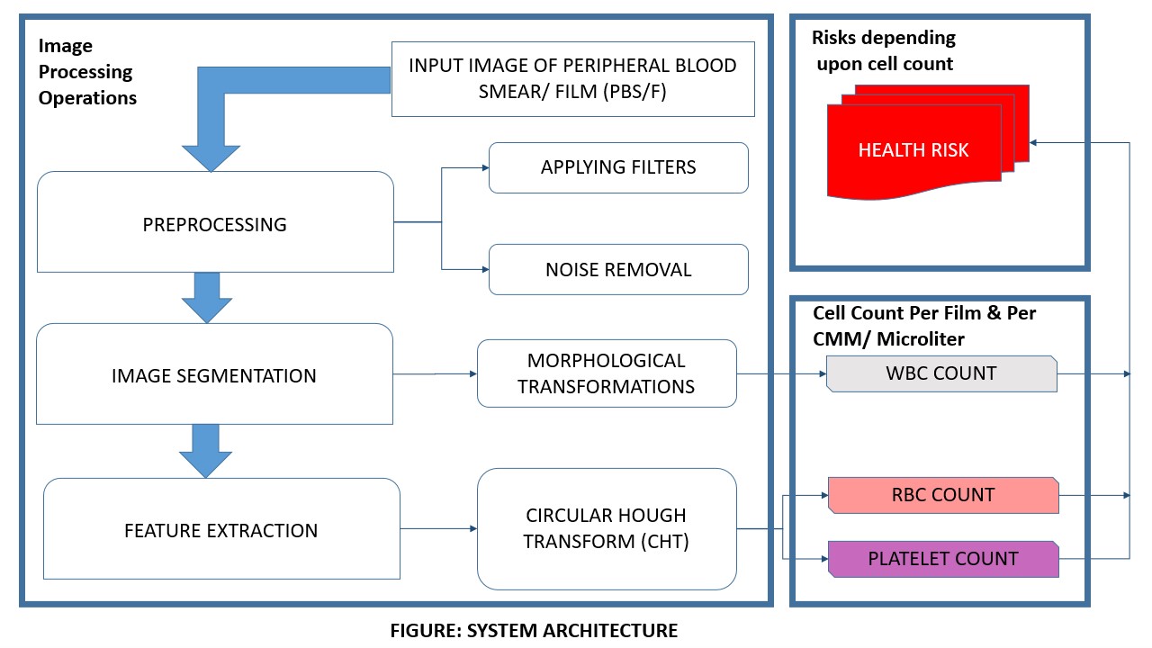 GitHub - odbalapure/blood-cell-counter
