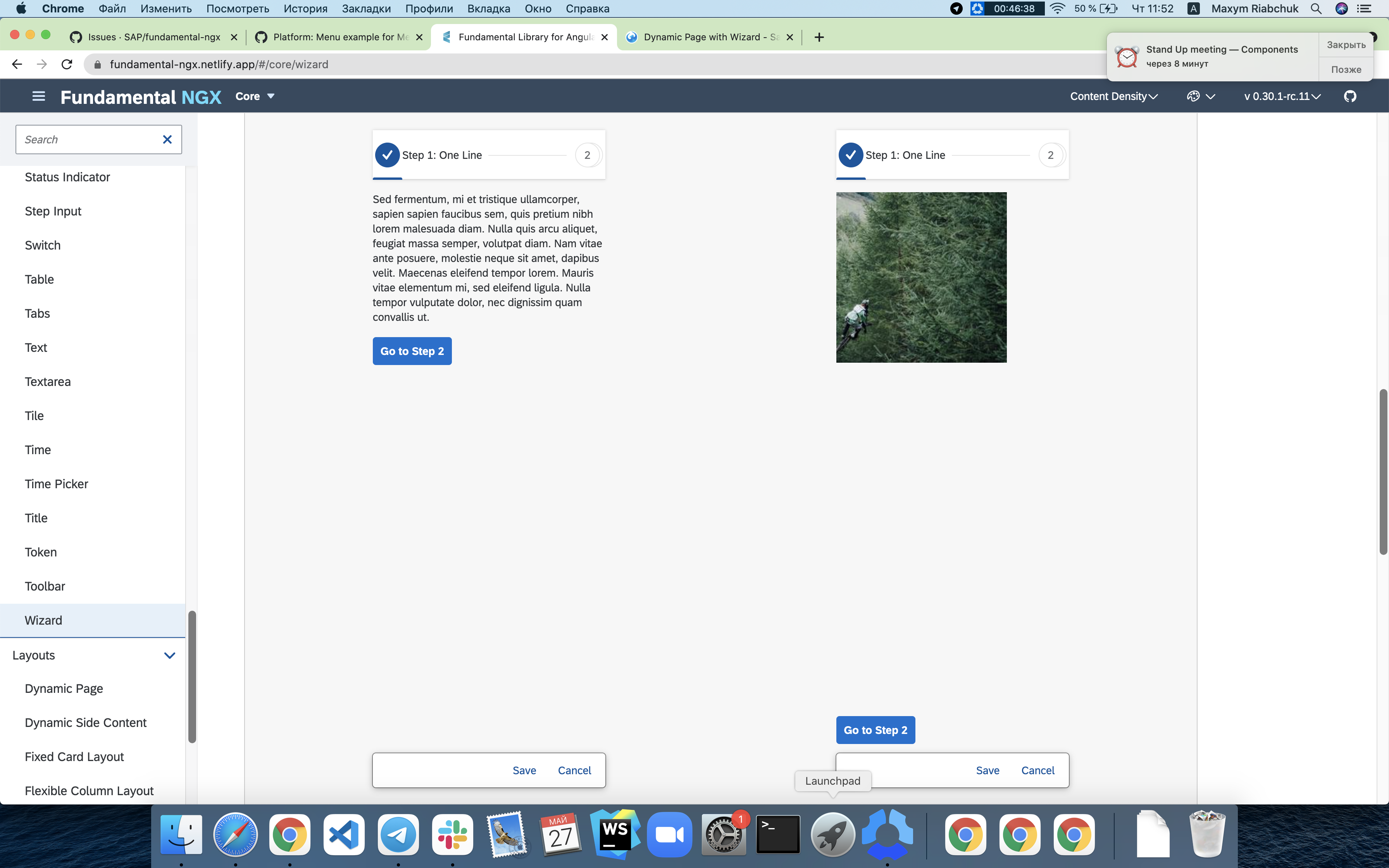 Bug: (core) A lot of extra space between elements for Wizzard Component ...