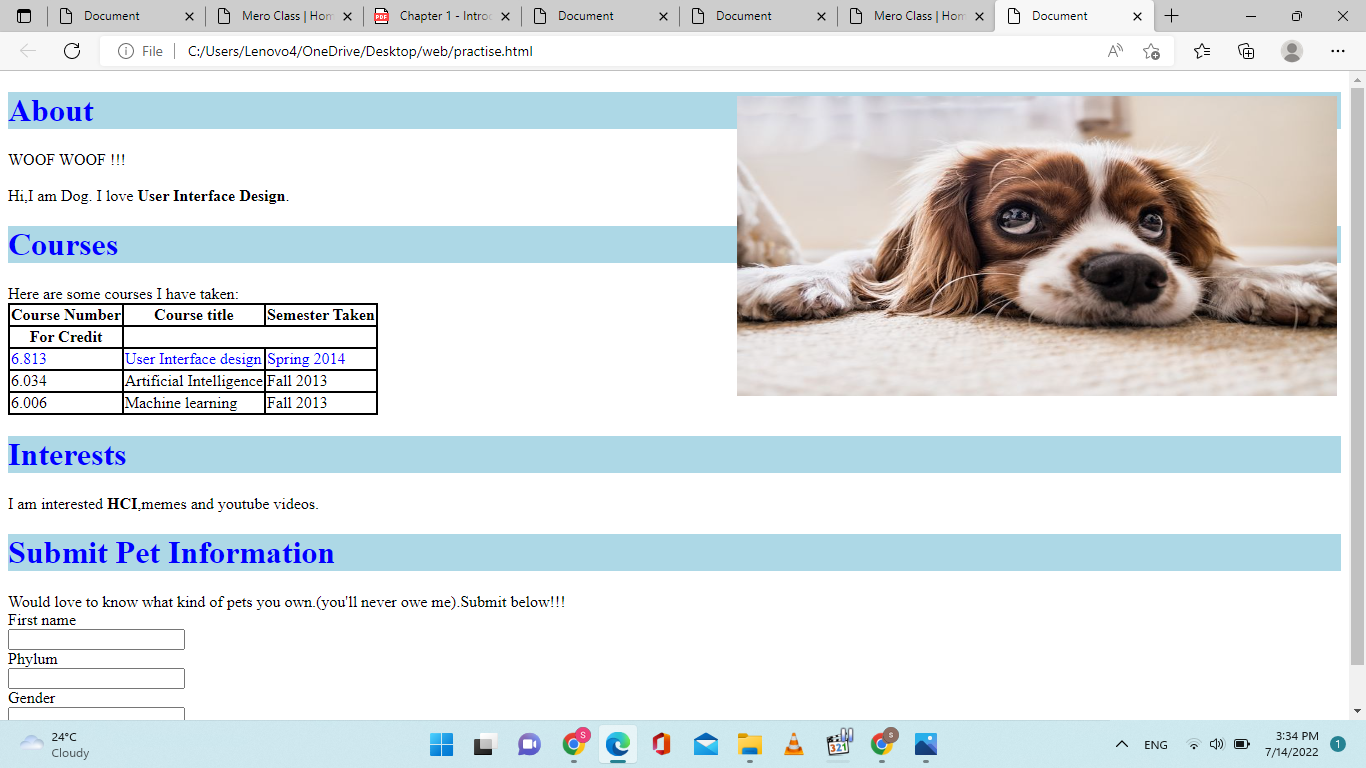 GitHub - sadijid/Practise1