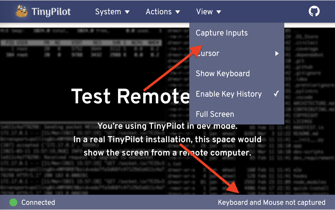 Allow more control over the processing of input events · Issue #497 · tiny-pilot/tinypilot · GitHub