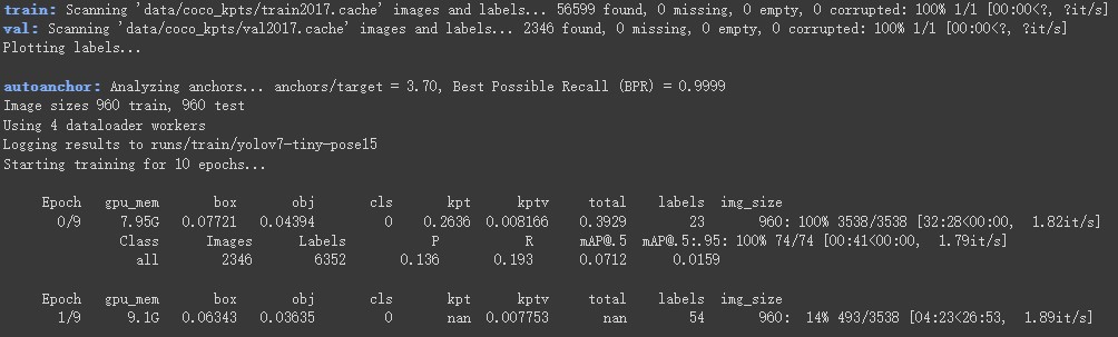 kpt loss goes to NaN after an epoch when training yolov7-pose · Issue #1430 · WongKinYiu/yolov7 ...