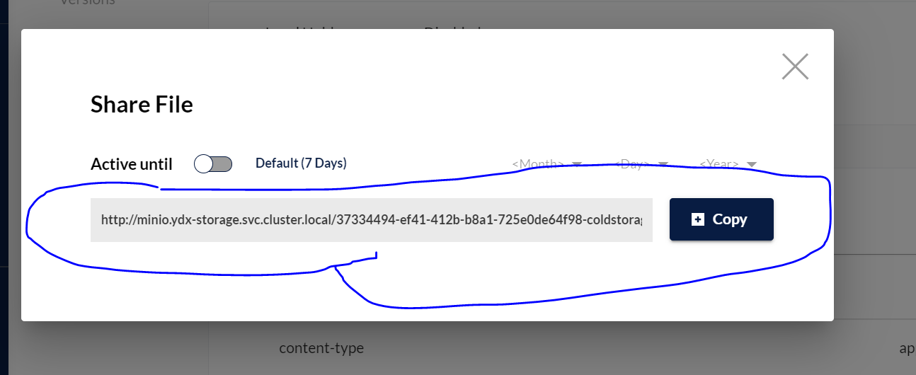 Unable To Override Minio Server Url In Minio Operator Deployed Via Helm Charts · Issue 1318