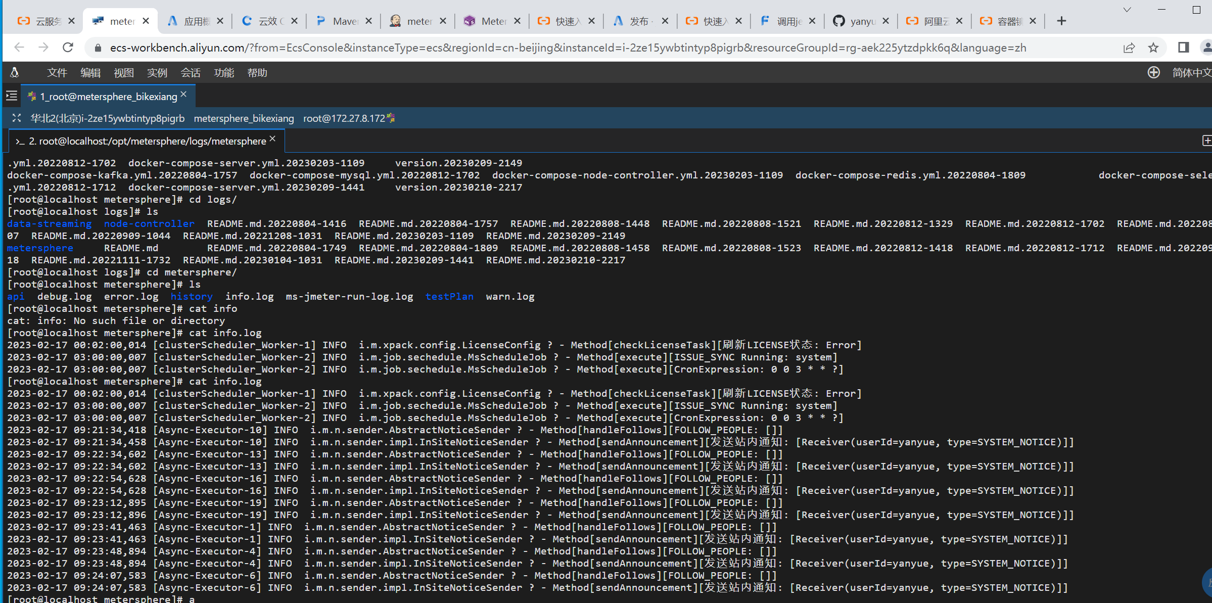 [BUG]通过 jenkins 触发时会一直running ，触发单接口没问题，触发场景就会一直running。在ms里执行没有问题。 · Issue #21963 · metersphere ...