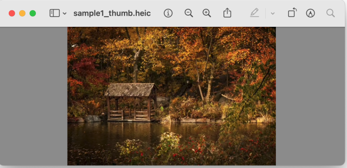 Problem with resize heic image with width >~ 400 · Issue #3224 · lovell/sharp · GitHub