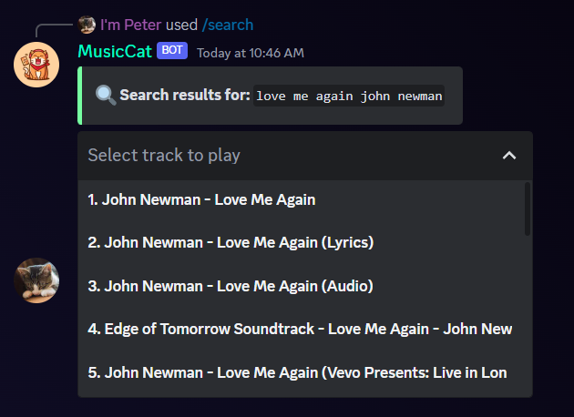 GitHub - bachtran02/MusicCat: A Discord music bot with various features that you might find ...