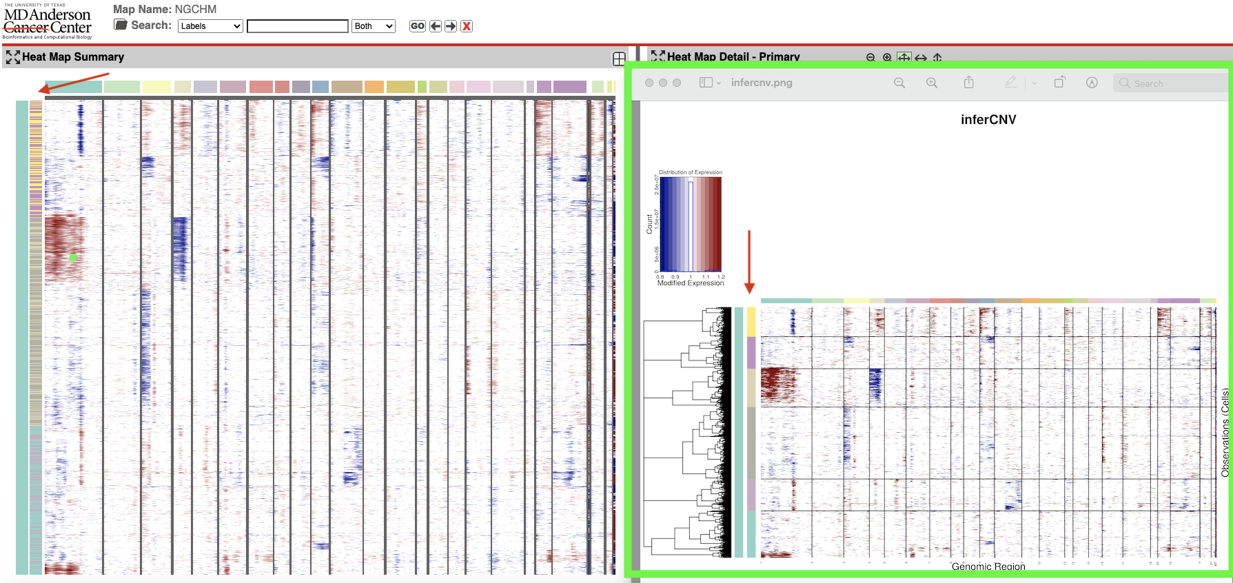 Annotation differences between infercnv.png and ngchm heatmap · Issue ...