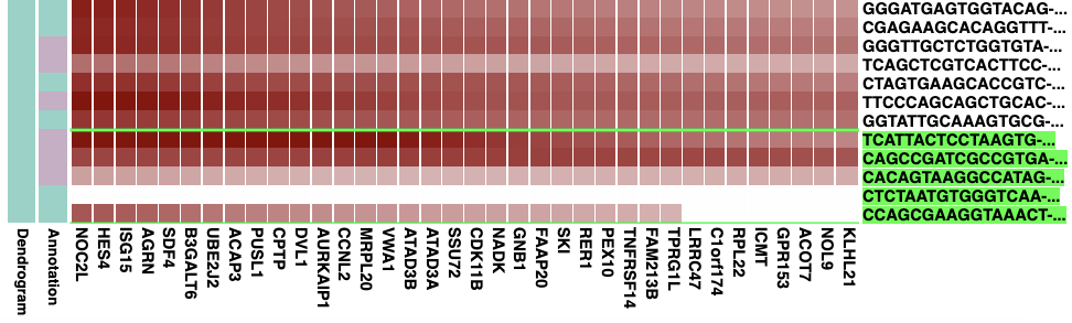 Annotation differences between infercnv.png and ngchm heatmap · Issue ...