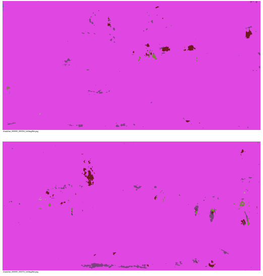 Cannot reproduce training results with pytorch 1.7 · Issue #69 · openseg-group/openseg.pytorch ...