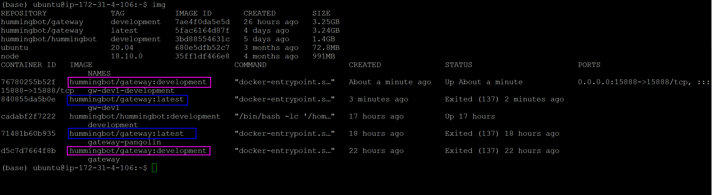 Failed To Create Multiple Containers With Same Tag Using Gateway