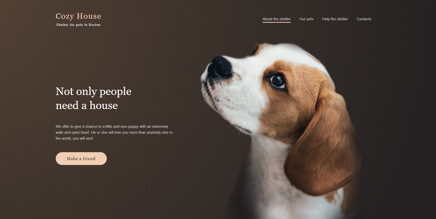 GitHub - Kirsawka/shelter