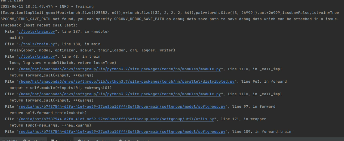 Training outdoor point cloud error · Issue #88 · thangvubk/SoftGroup · GitHub